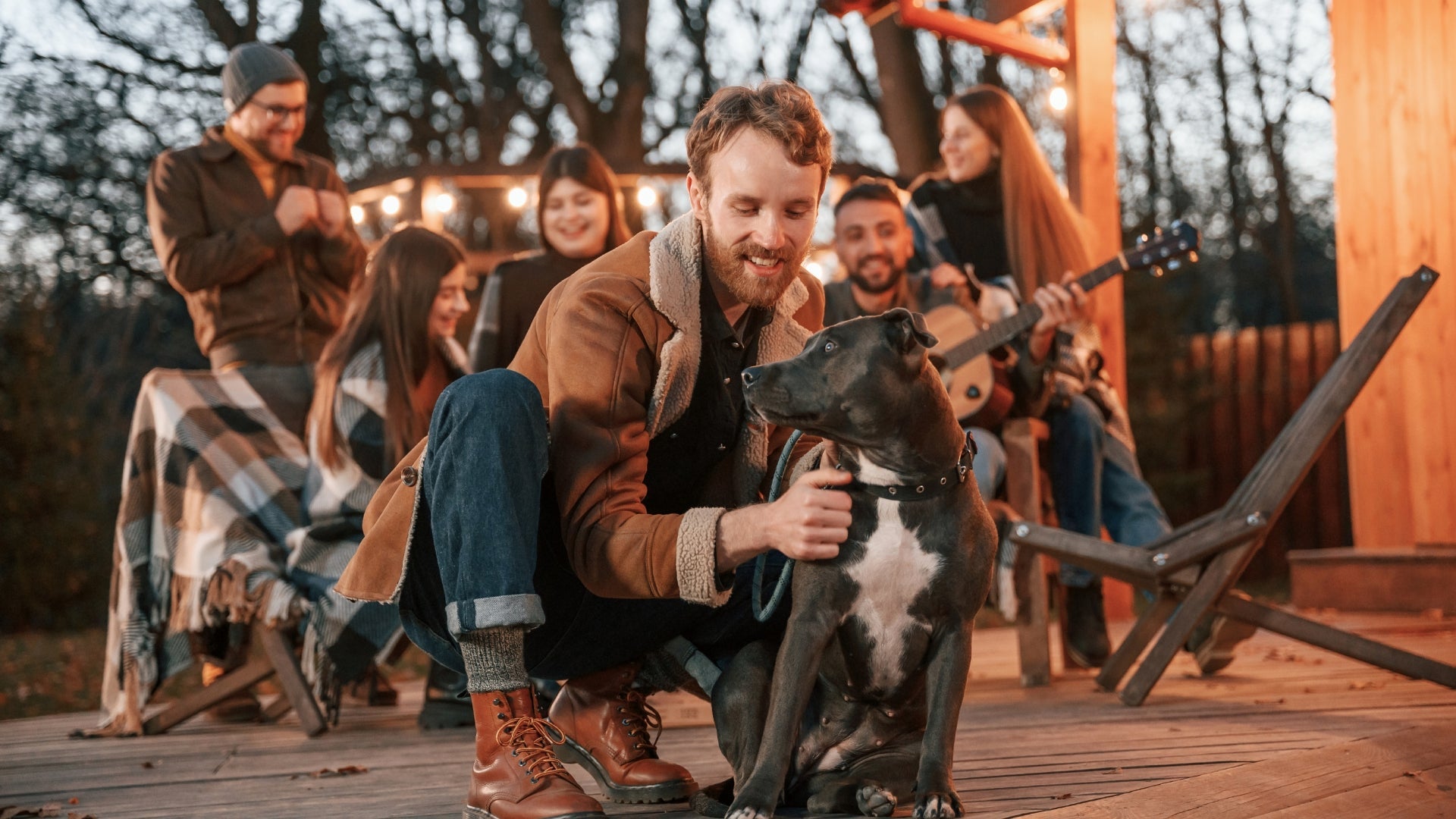 Holiday Hosting Tips: How to Keep Both Guests and Dogs Happy – Devil ...