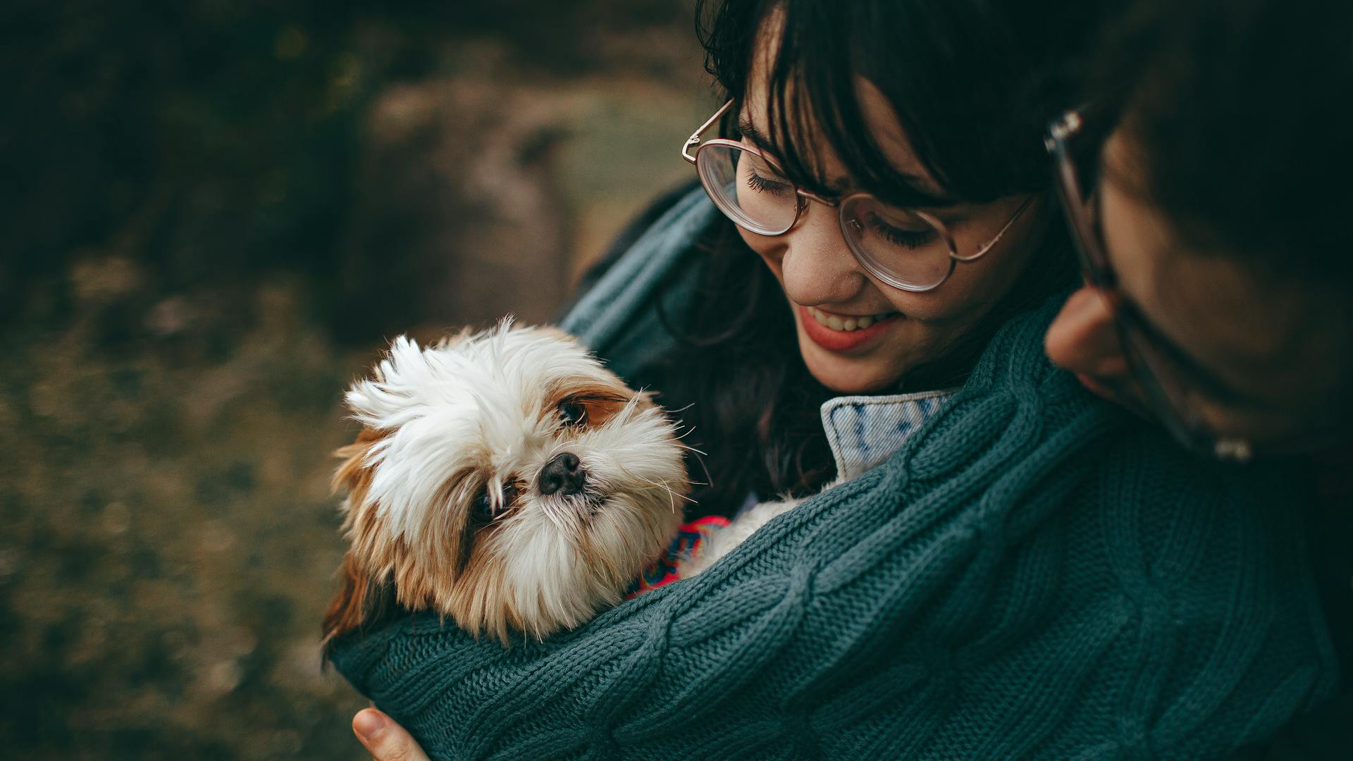 Guide and Tips for First-Time Pup Owners – Devil Dog Pet Co