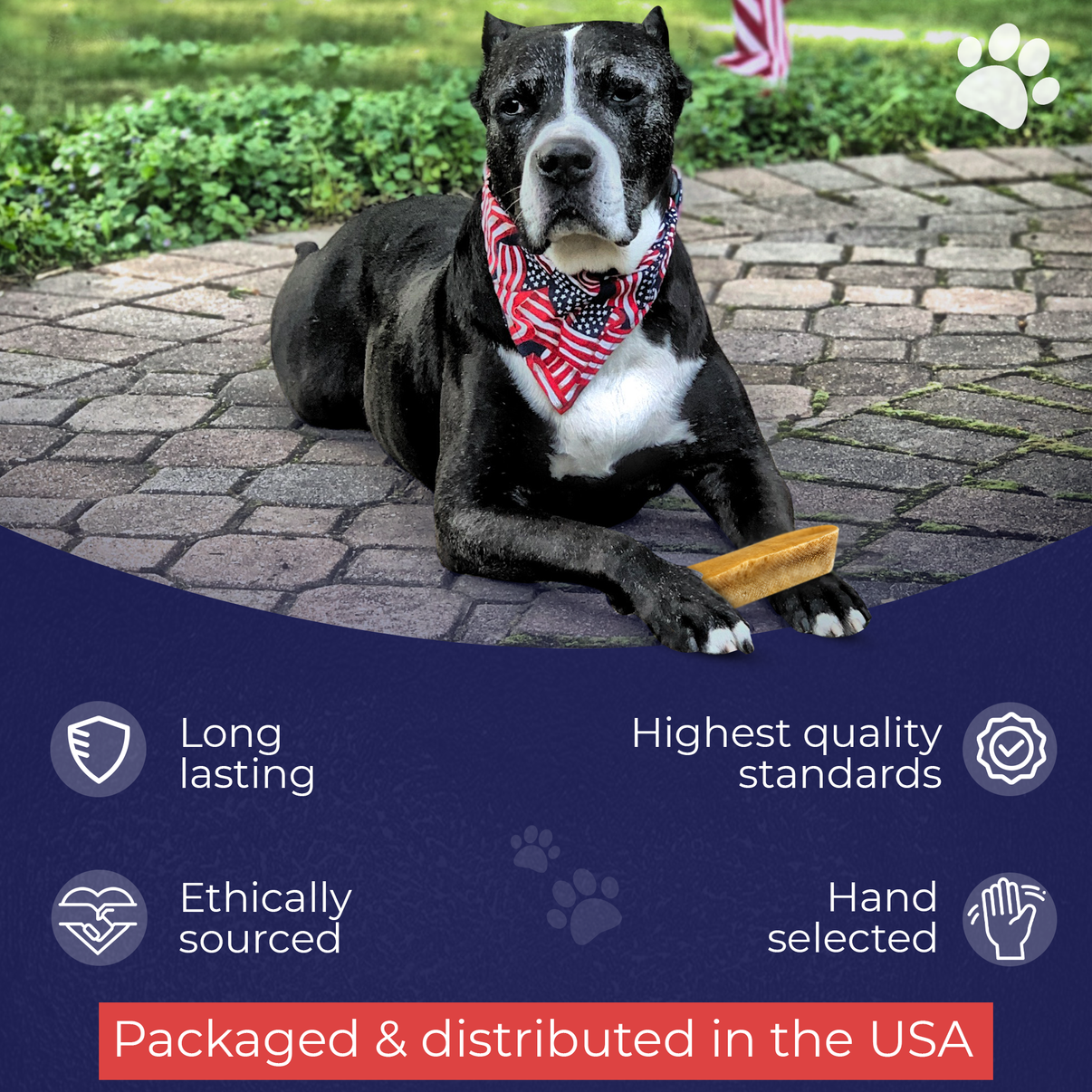 Devil Dog Pet Co | Premium Dog Chews