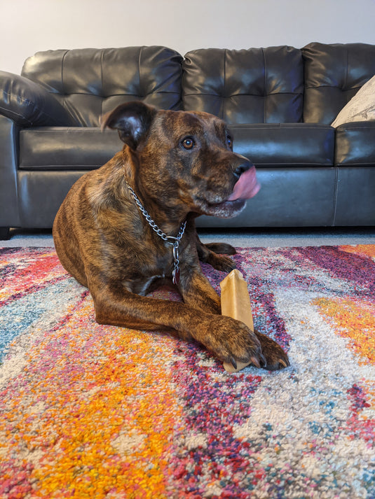 All About Yak Chews – Devil Dog Pet Co
